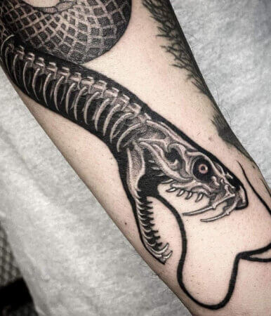 60+ Amazing Snake Tattoo Designs and Ideas for Men and Women
